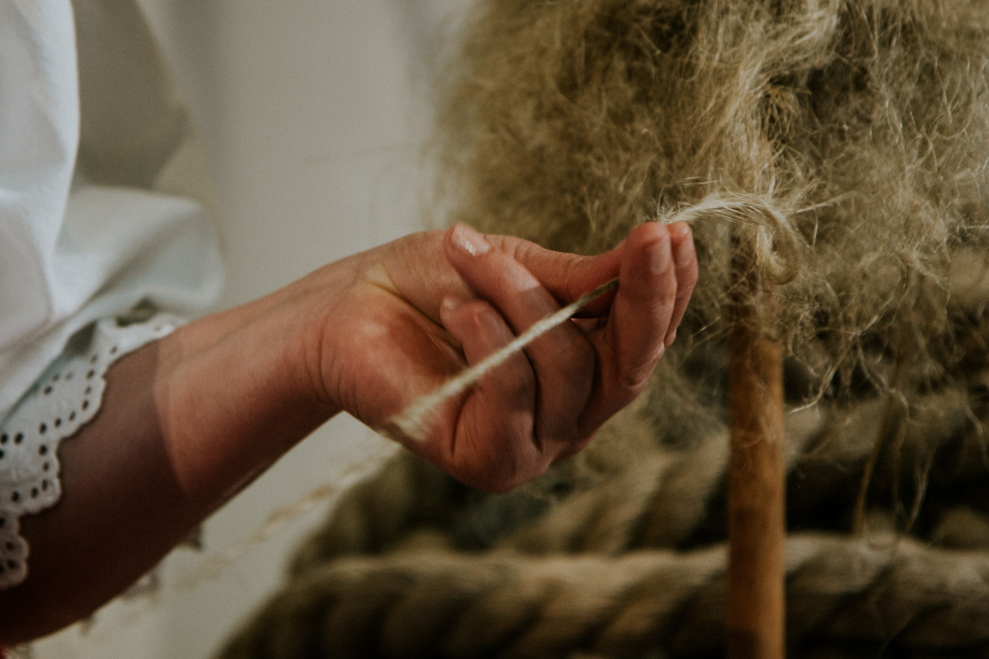 Cânepa din România - Rowmania